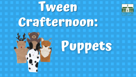 Grafton Public Library - puppets