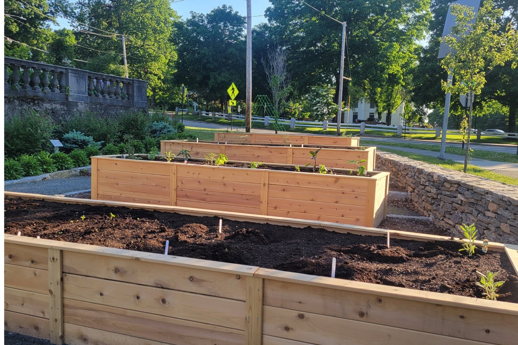 Grafton Public Library - garden
